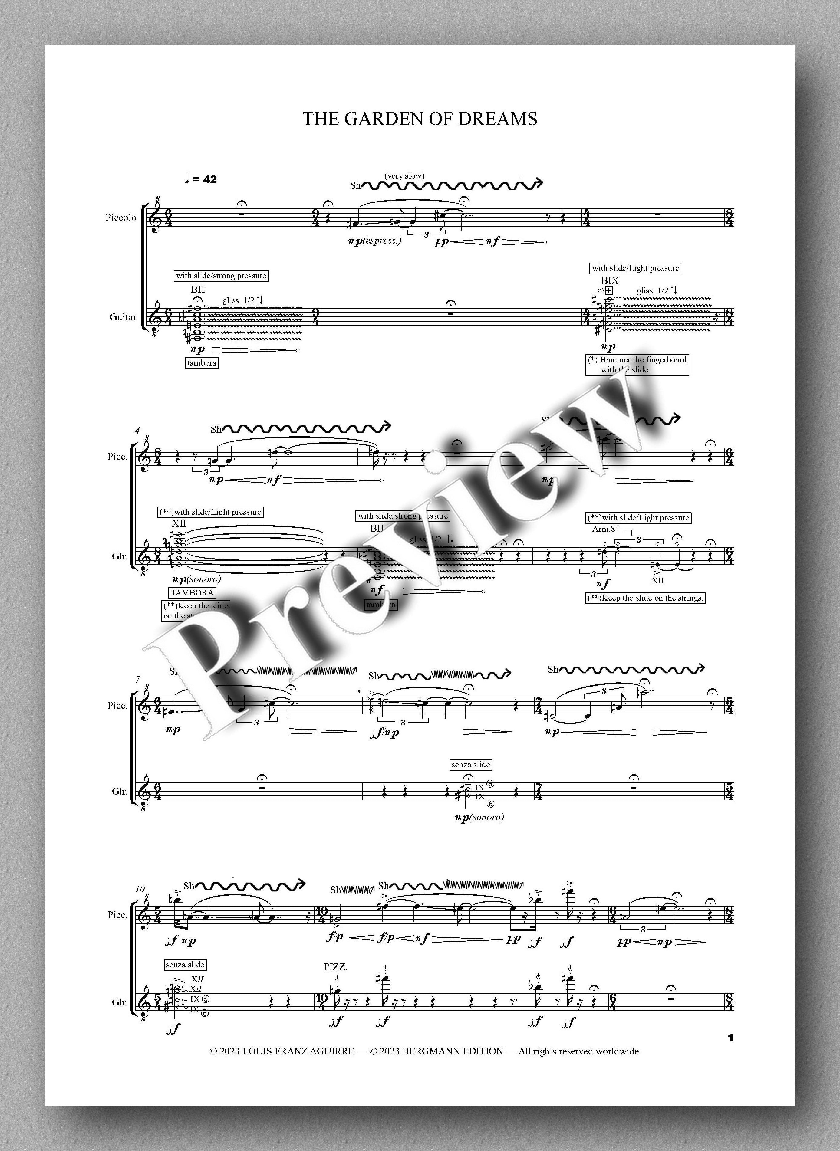 Aguirre, THE GARDEN OF DREAMS – BERGMANN EDITION